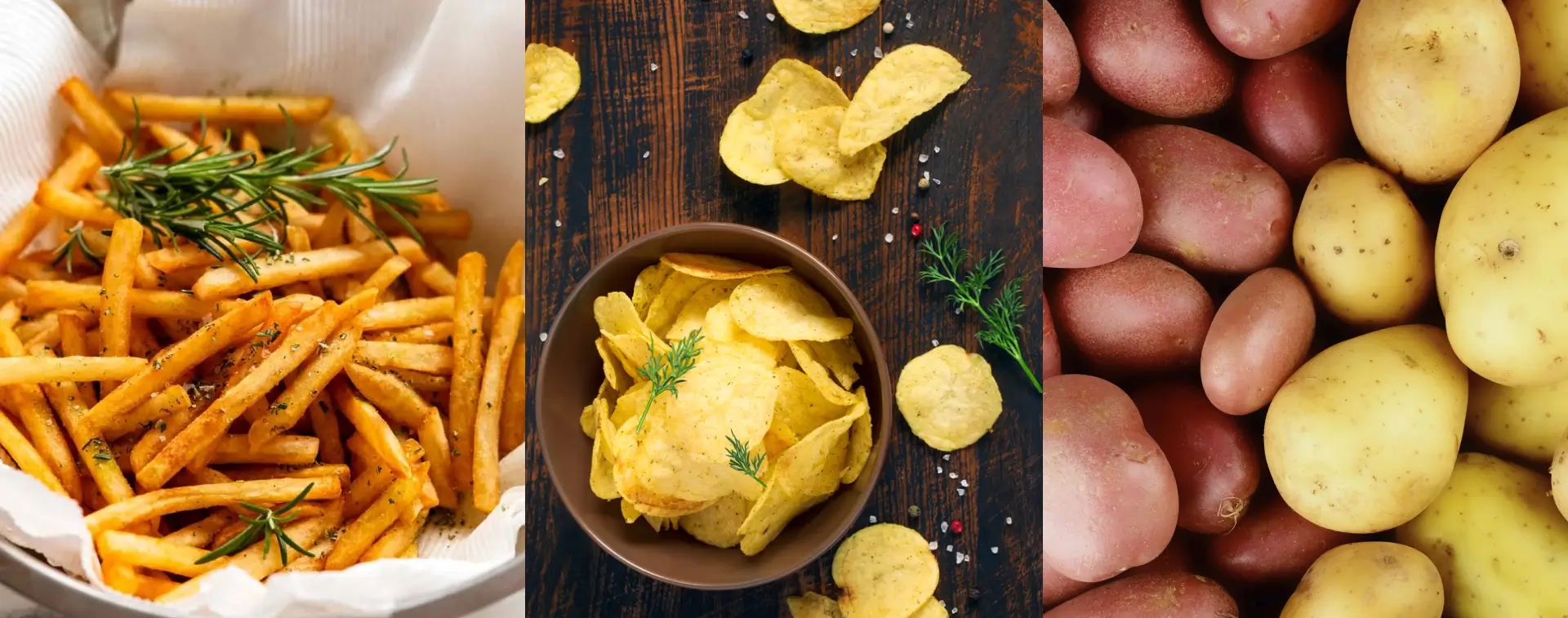 Technico Agri Sciences Limited (Technico)