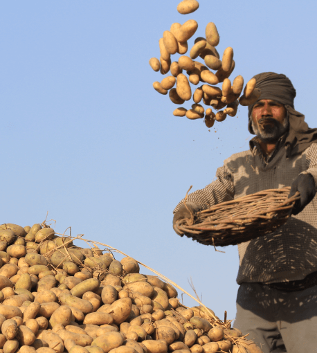 Technico Agri Sciences Limited (Technico)