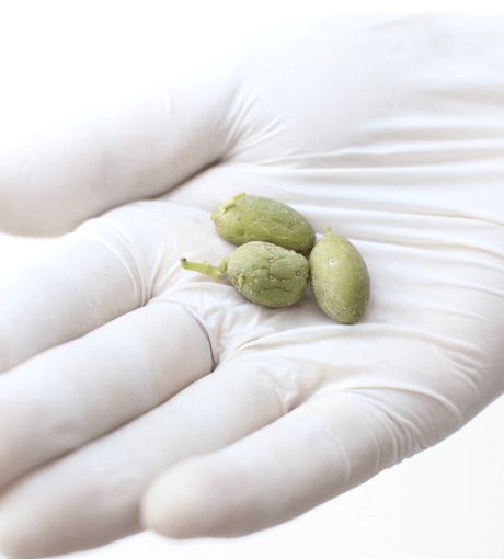 Technico Agri Sciences Limited (Technico)