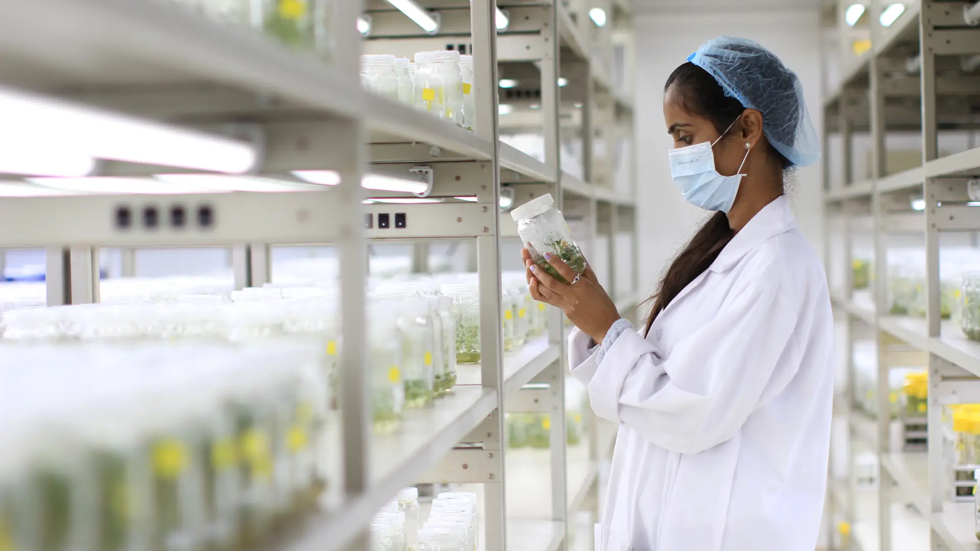 Technico Agri Sciences Limited (Technico)