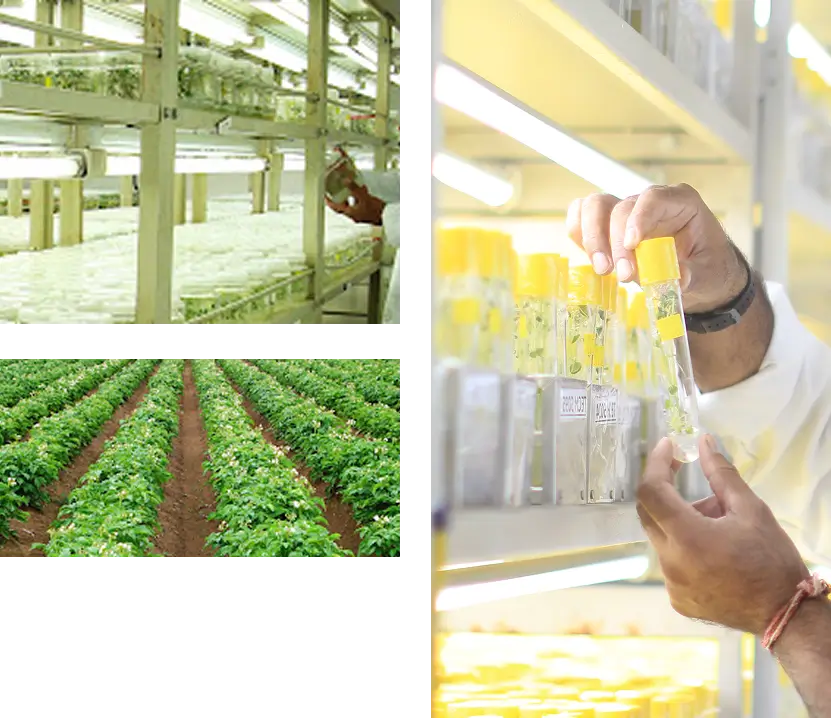 Technico Agri Sciences Limited (Technico)