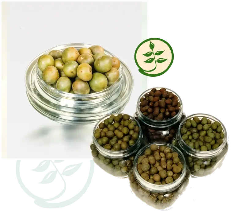 Technico Agri Sciences Limited (Technico)